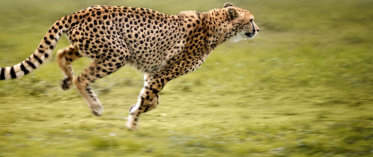 An Example of A Railway Construction Project Schedule From TILOS