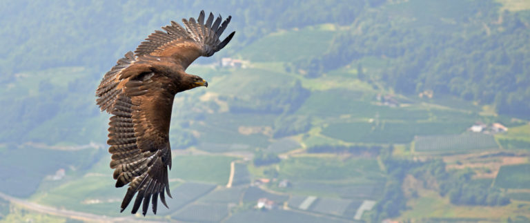 Examples of Pipeline Project Schedule Create With TILOS